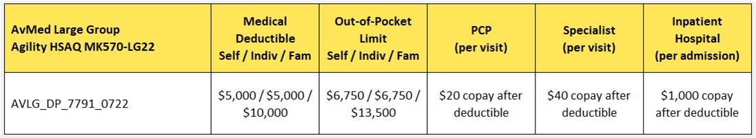 Plan and Summary of Benefits and Coverage - AvMed